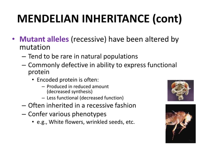MIC150 - Chap 2 Extension Of Mendelian Genetics | PPTX