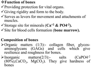 Study of animal bones, skeletons and associated structures | PDF