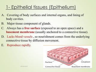 Tissues.pptx