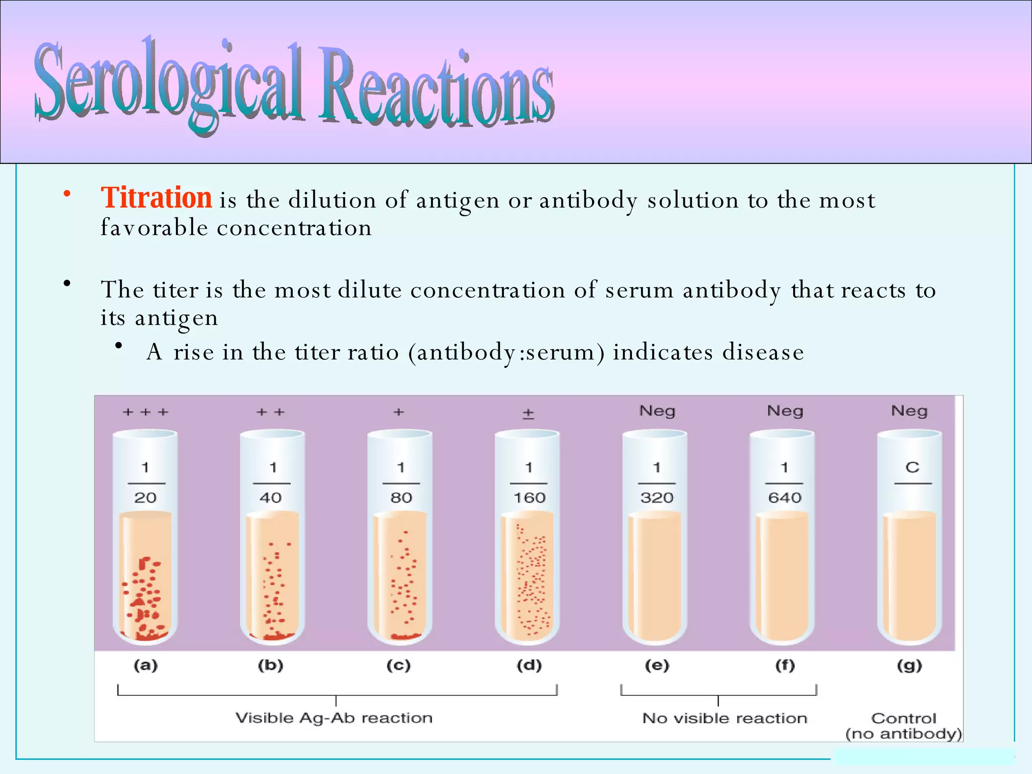 Chap20 Immunology & Serology | PPT