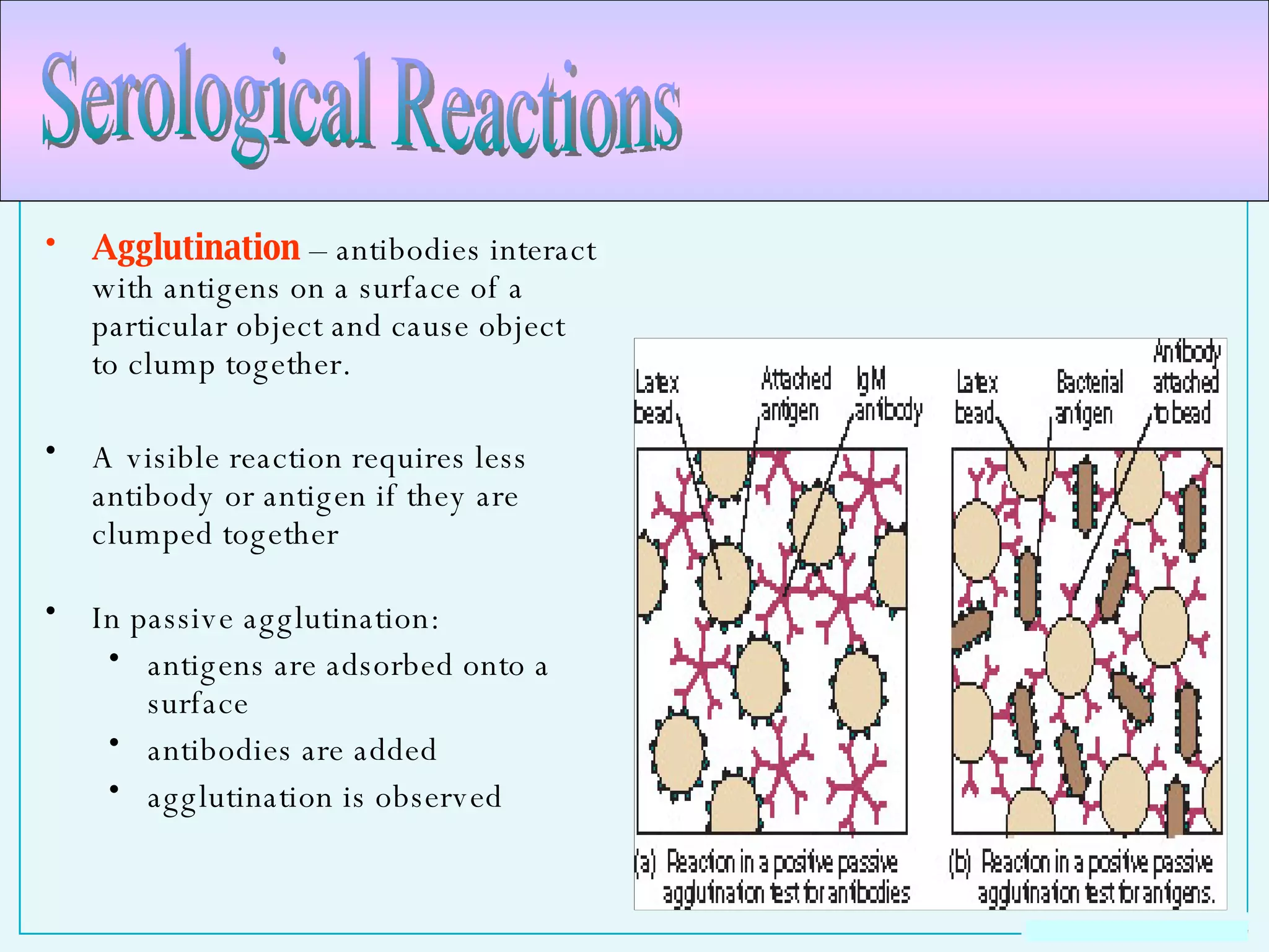 Chap20 Immunology & Serology | PPT