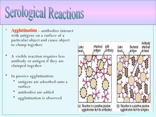 Chap20 Immunology & Serology | PPT