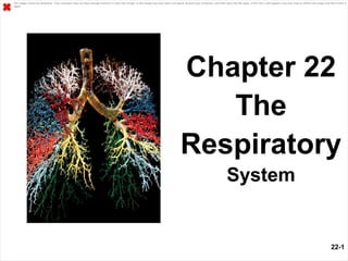 Chap22 powerpoint | PPT