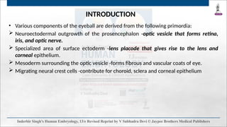 Chap 23.pptx development of eye steps - steps | PPTX