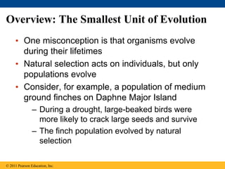 chap23 (1).ppt