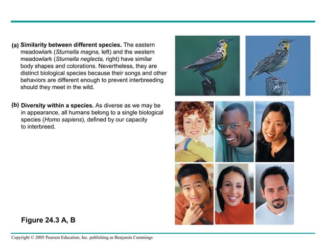 Chap24 originofspecies | PPT | Geography | Science