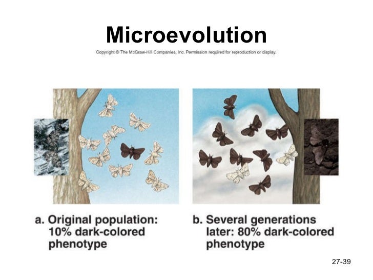 Chap 27 evolution