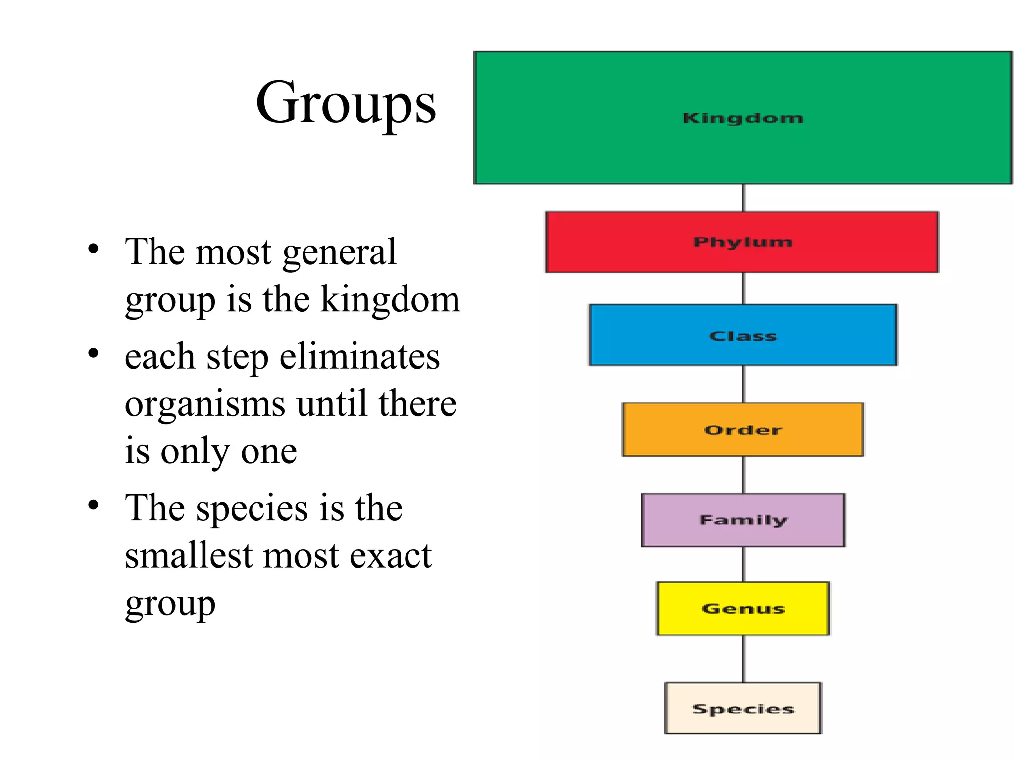 Chap2 classifying living things | PPT