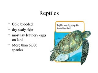 Chap2 classifying living things | PPT