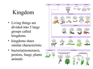 Chap2 classifying living things | PPT