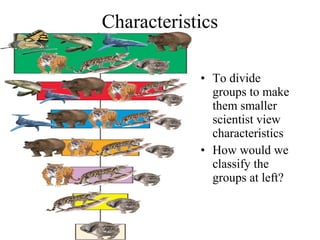 Chap2 classifying living things | PPT
