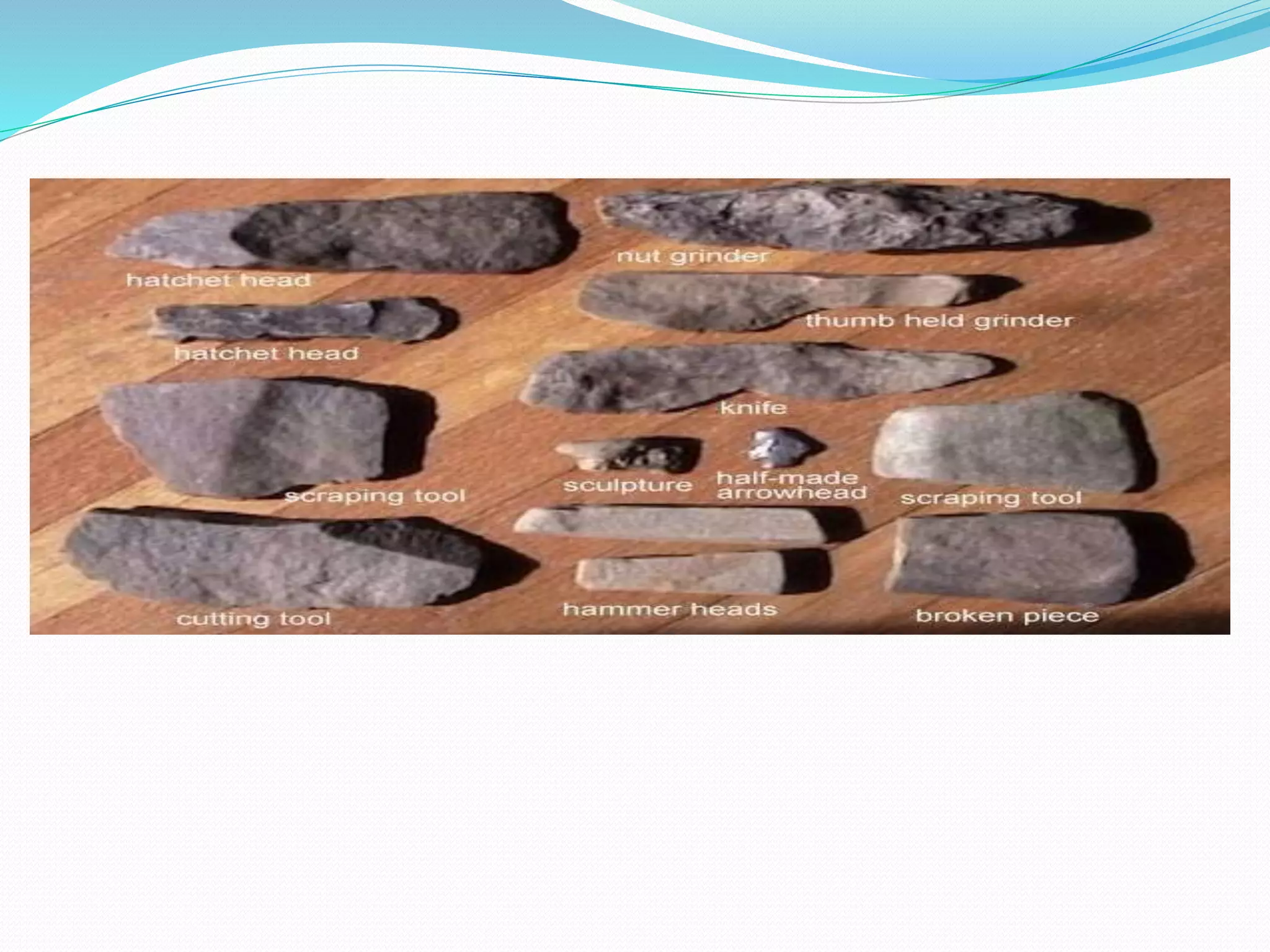 Chap 2 Evolution.pptx