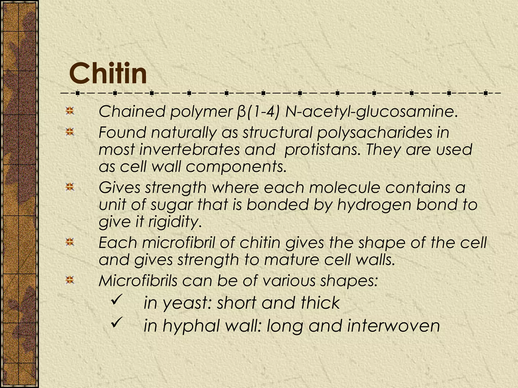 Chap 2 fungal cell | PPT