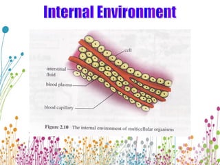 Internal Environment And Uniqueness Of The Cell | PPT