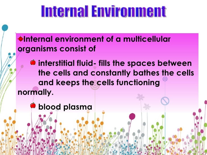 Internal Environment And Uniqueness Of The Cell