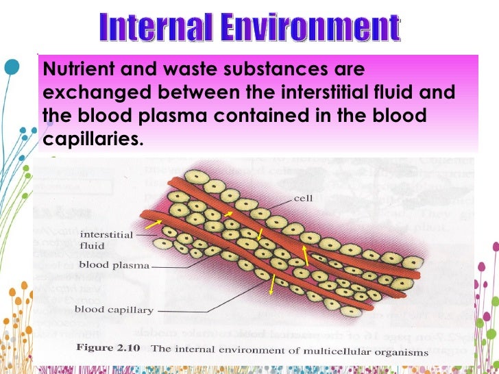 Internal Environment And Uniqueness Of The Cell