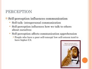 Chap2: Perception | PPT