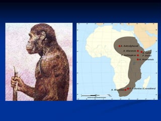 Chap 2 Prehistoric Age.ppt