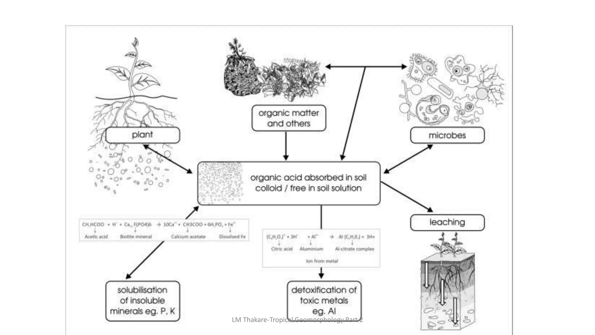Chap 2 tropical geomorphology deep weathering in tropics - part 2 | PPTX