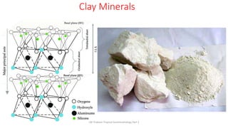 Chap 2 tropical geomorphology deep weathering in tropics - part 2 | PPTX