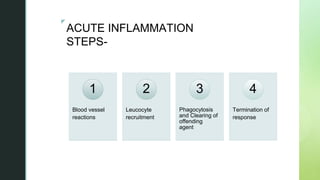 Inflammation- acute and chronic pathology | PPTX