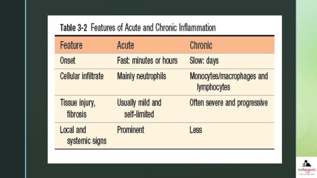 Inflammation- acute and chronic pathology | PPT