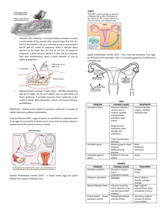 Chap3.biologicalbeginnings | DOCX | Brain and Nervous System Disorders ...