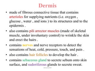 Chap 3 - Integumentary System radio imaging technology | PDF