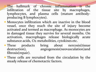 Topic: Acute and chronic inflammation | PPTX