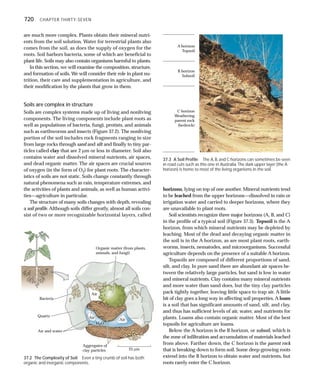 Chap37 | PDF | Agriculture | Industries