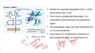Chap3_Antigen Capture and Presentation2025.pdf