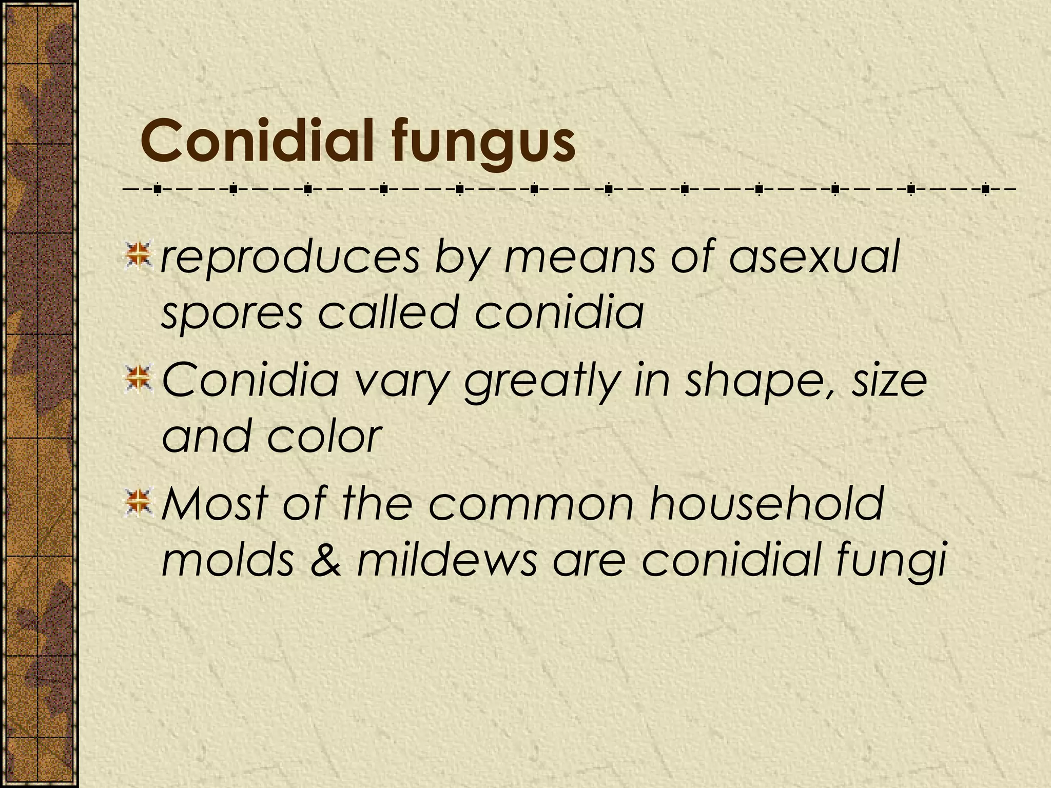 Chap 3 fungal reproduction | PPT