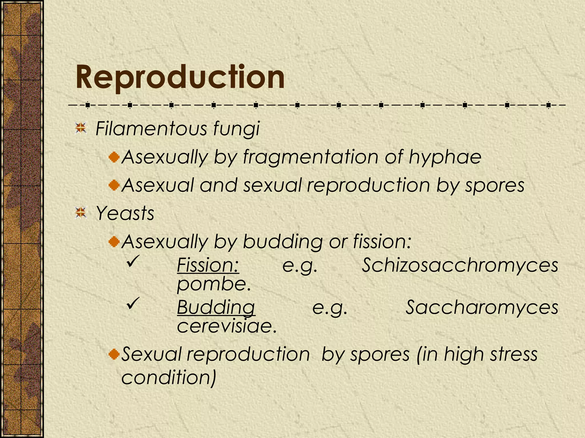 Chap 3 fungal reproduction | PPT