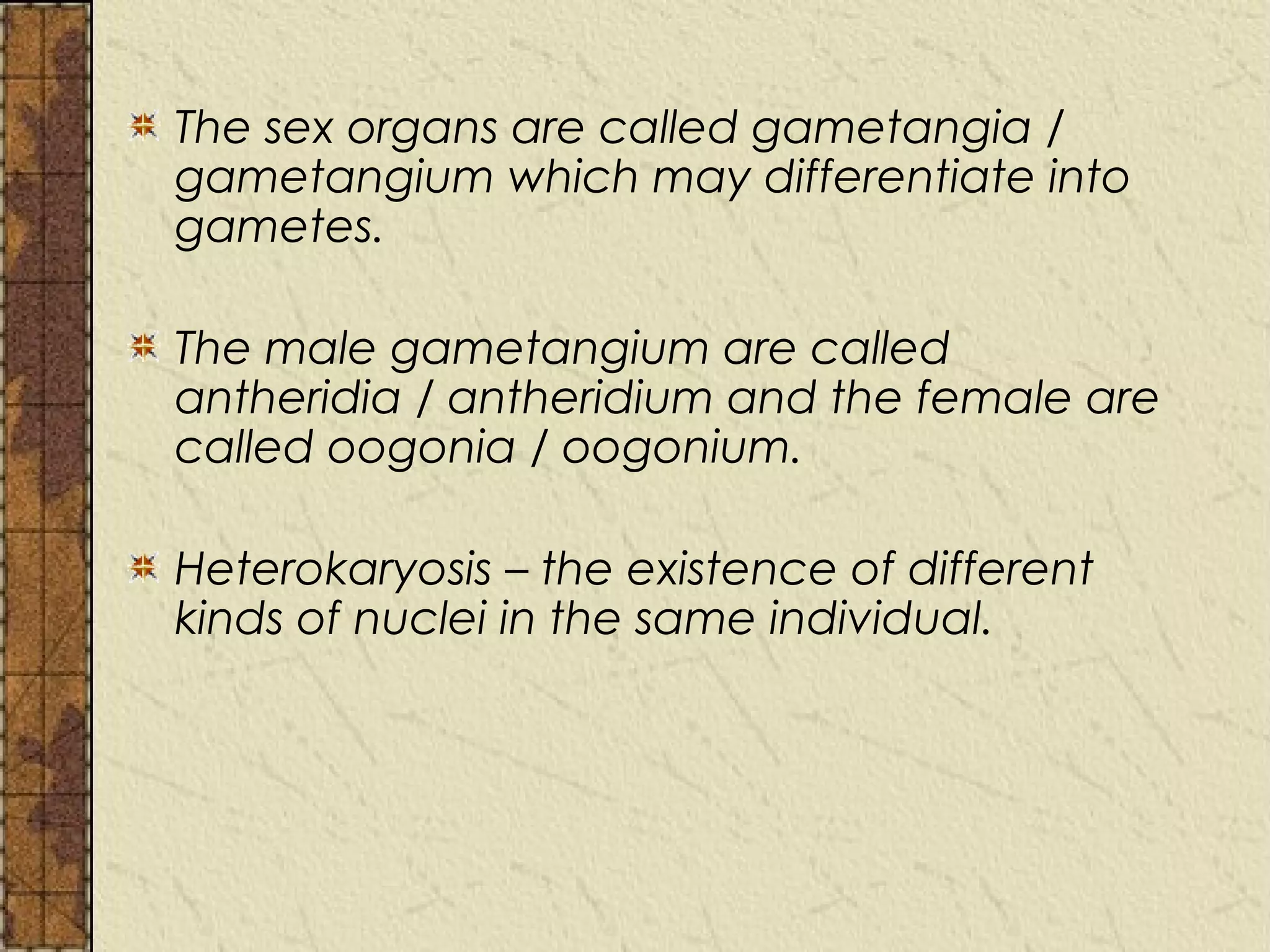 Chap 3 fungal reproduction | PPT