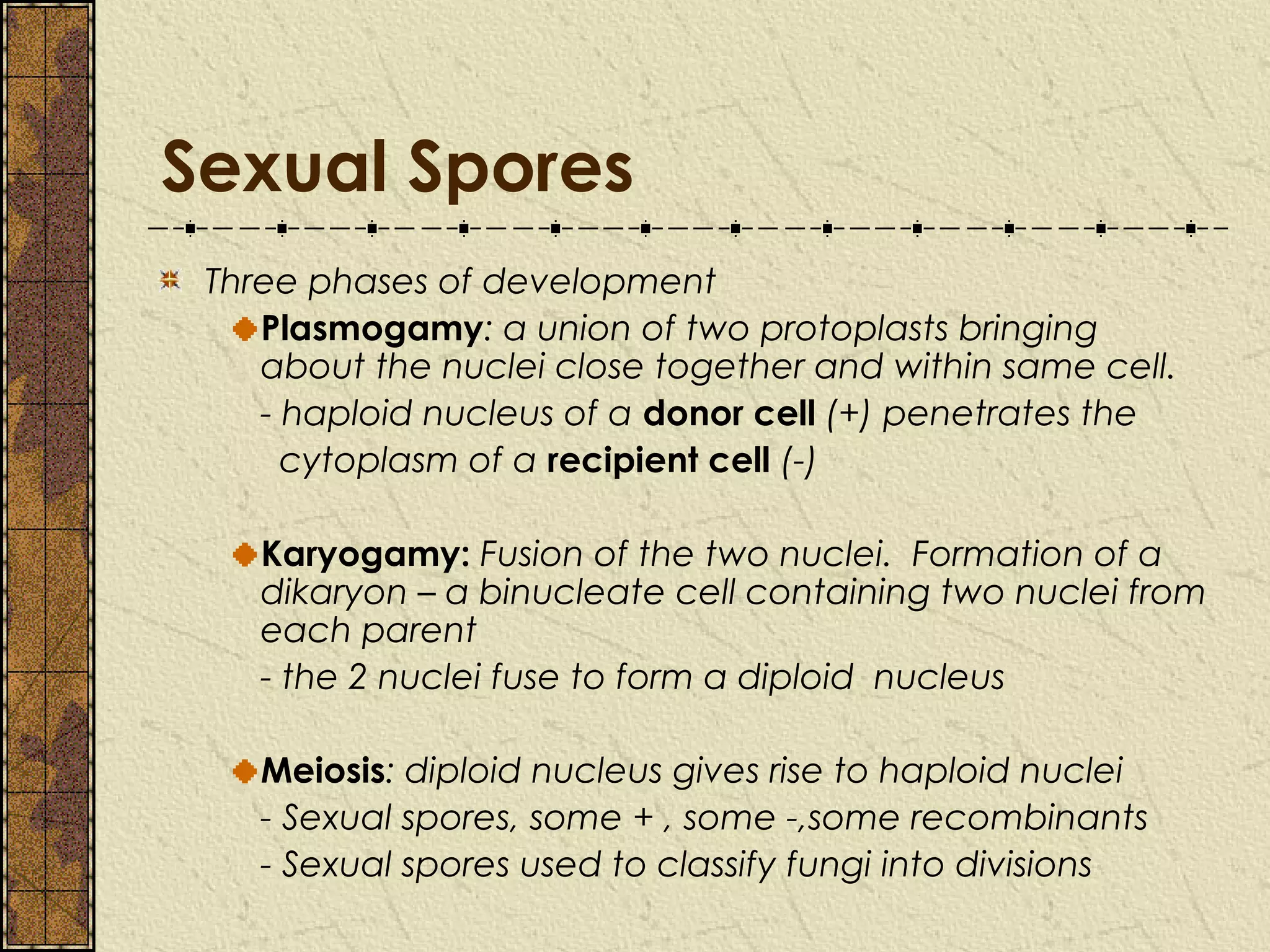 Chap 3 fungal reproduction | PPT