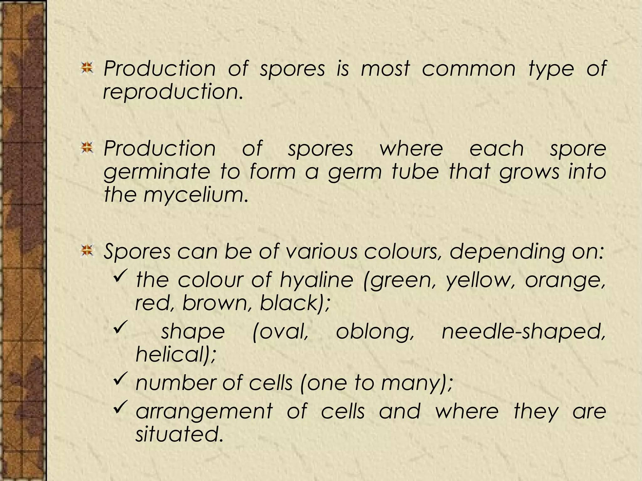 Chap 3 fungal reproduction | PPT