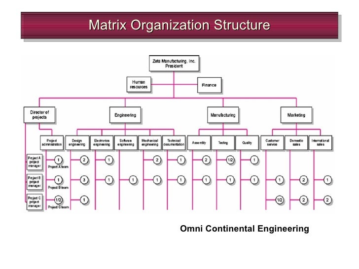 Chap 3 Organization Structure