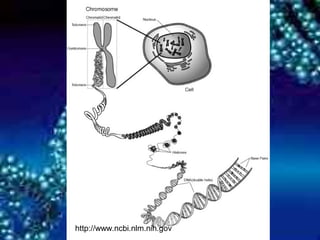 Chap 3 sc f4 dna chromosomes genes | PPT