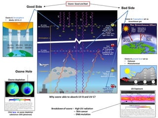 IB Chemistry on ozone depletion | PDF