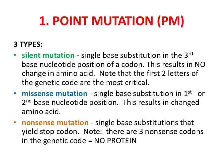 Types Of Genetic Mutations