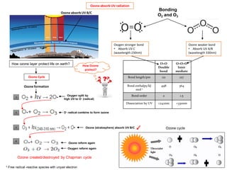IB Chemistry on ozone and resonance | PDF
