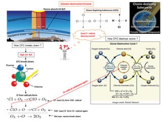 IB Chemistry on ozone and resonance | PDF