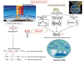 IB Chemistry on ozone and resonance | PDF