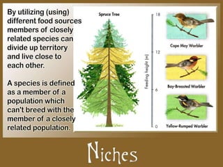 M&L Biology Chap 4 Ecosystems & Communities | PPTX