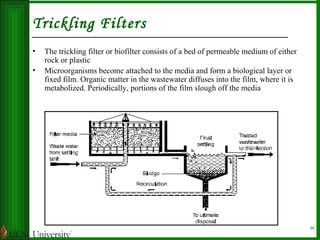 Wastewater | PPT