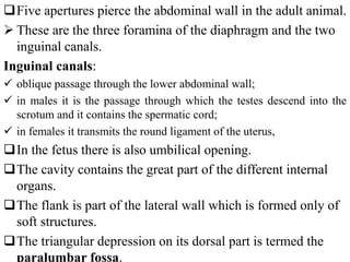 Chap 5- celomic Cavity and Serous Membrane.pdf