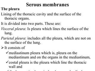 Chap 5- celomic Cavity and Serous Membrane.pdf