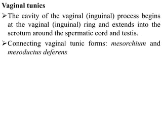 Chap 5- celomic Cavity and Serous Membrane.pdf