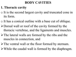 Chap 5- celomic Cavity and Serous Membrane.pdf