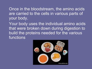 Chap5 protein nutrition; its role in infection | PPT